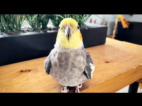 Look out weekend, here I come! - YouTube