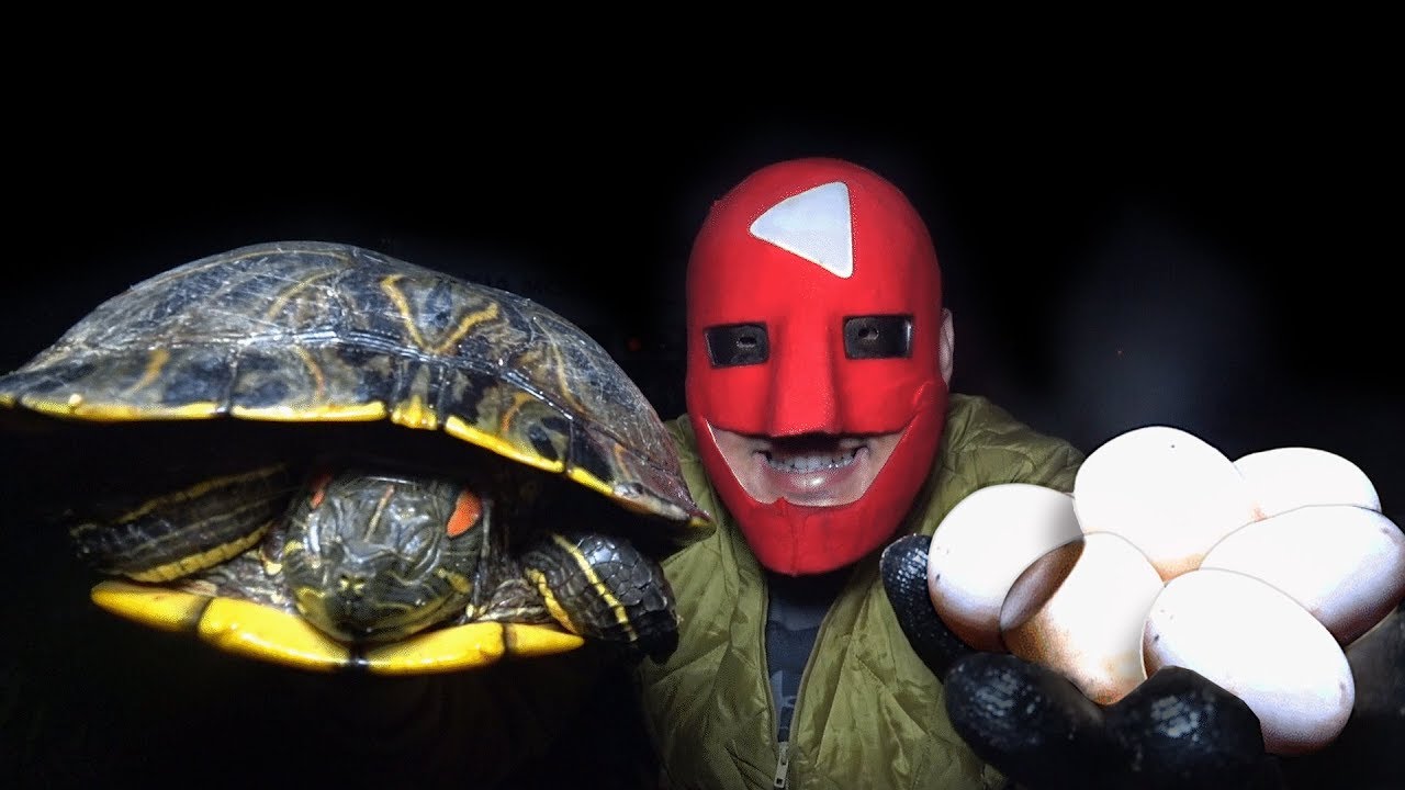 [우마] 붉은귀거북을 잡아 먹어보자!!(ft.프리모) Catch and Cook WORLD'S MOST INVASIVE ...