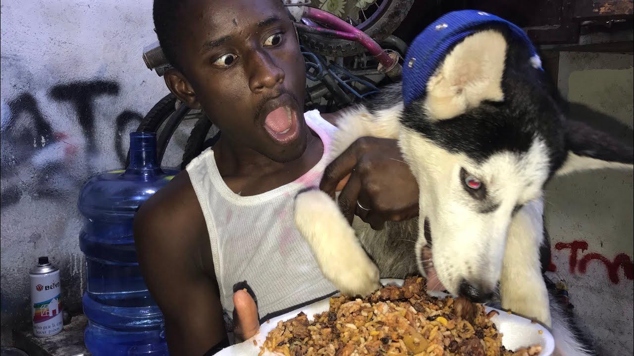 no creerás lo que le di de comer a este perro Popi 😱sigan viendo - YouTube