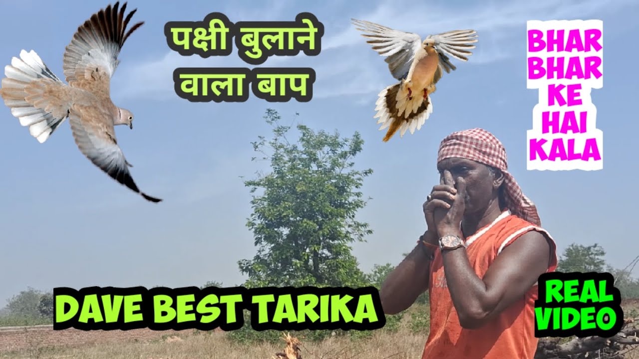 Amazing 1 second Mein Sabhi Pakshiyon Ko Bula Leta hai | Dave Dulane ...