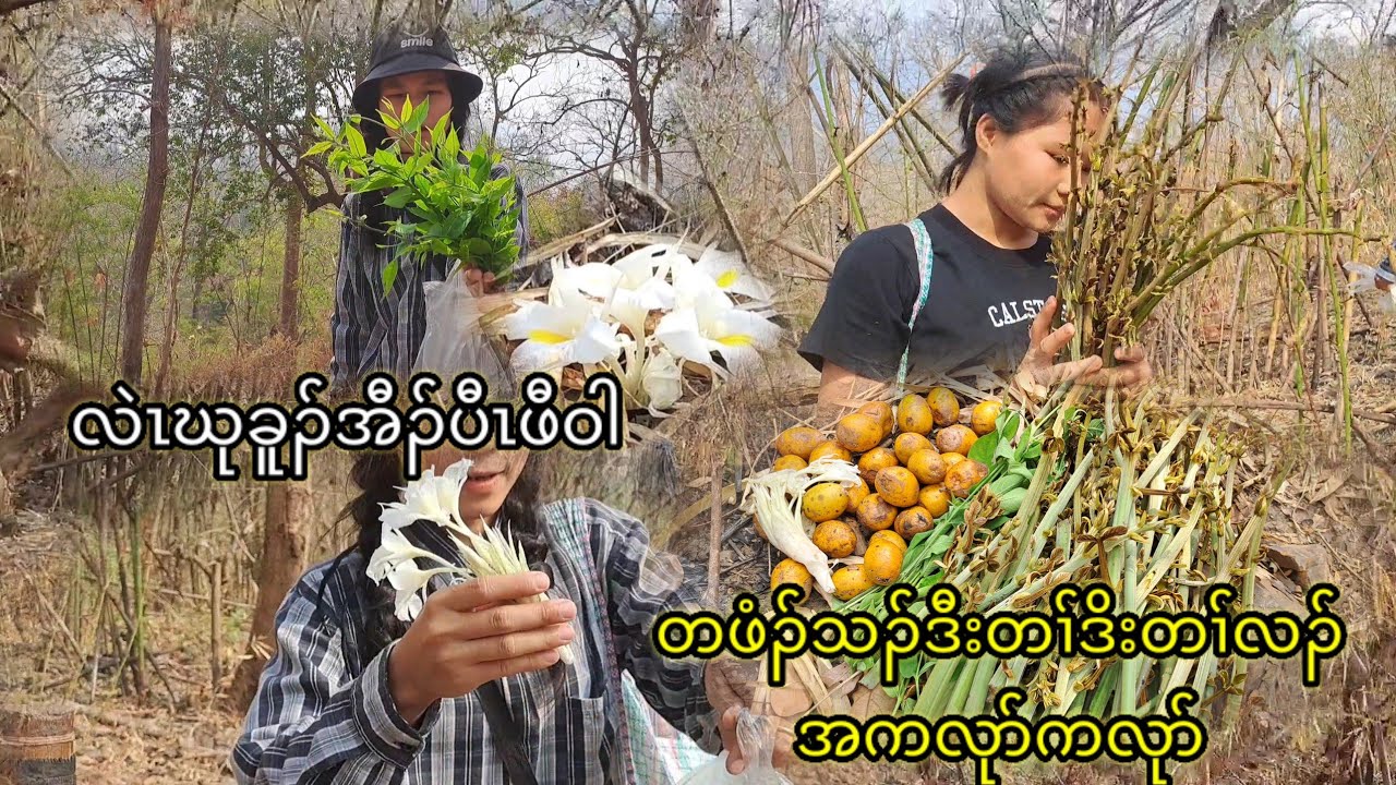 Go find vegetables and paw paw wah🌿☘️🍀 - YouTube
