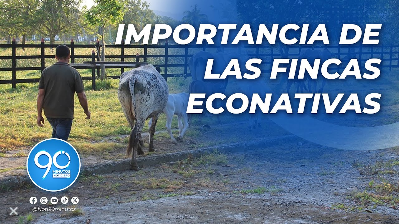 Sostenibilidad agrícola: Importancia de las fincas econativas en la ...