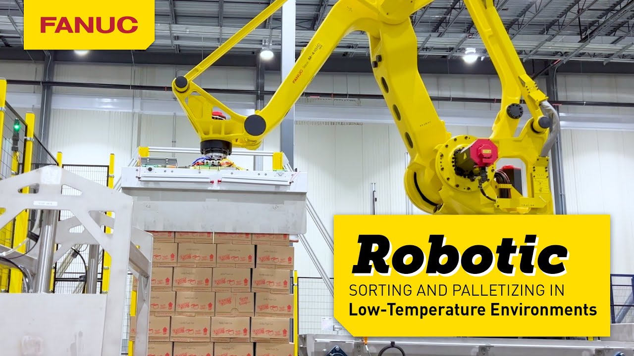 Robotic Ice Cream and Frozen Dessert Sorting and Palletizing - YouTube
