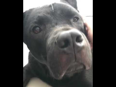 Pontos de Acupuntura - Yin Tang - YouTube