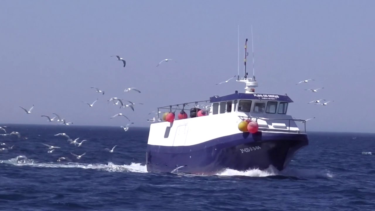 Sailing Songbird: Cruising in Galicia, Ria de Arousa - YouTube
