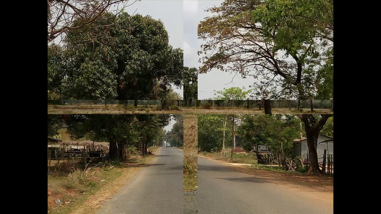 Cambodia Nature in Kampang Chhang Province - YouTube