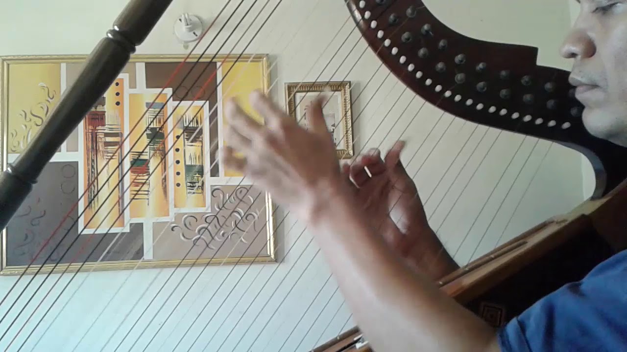 Instrumental de Arpa "Sentimiento Apureño" Curso-Clases de Arpa - YouTube