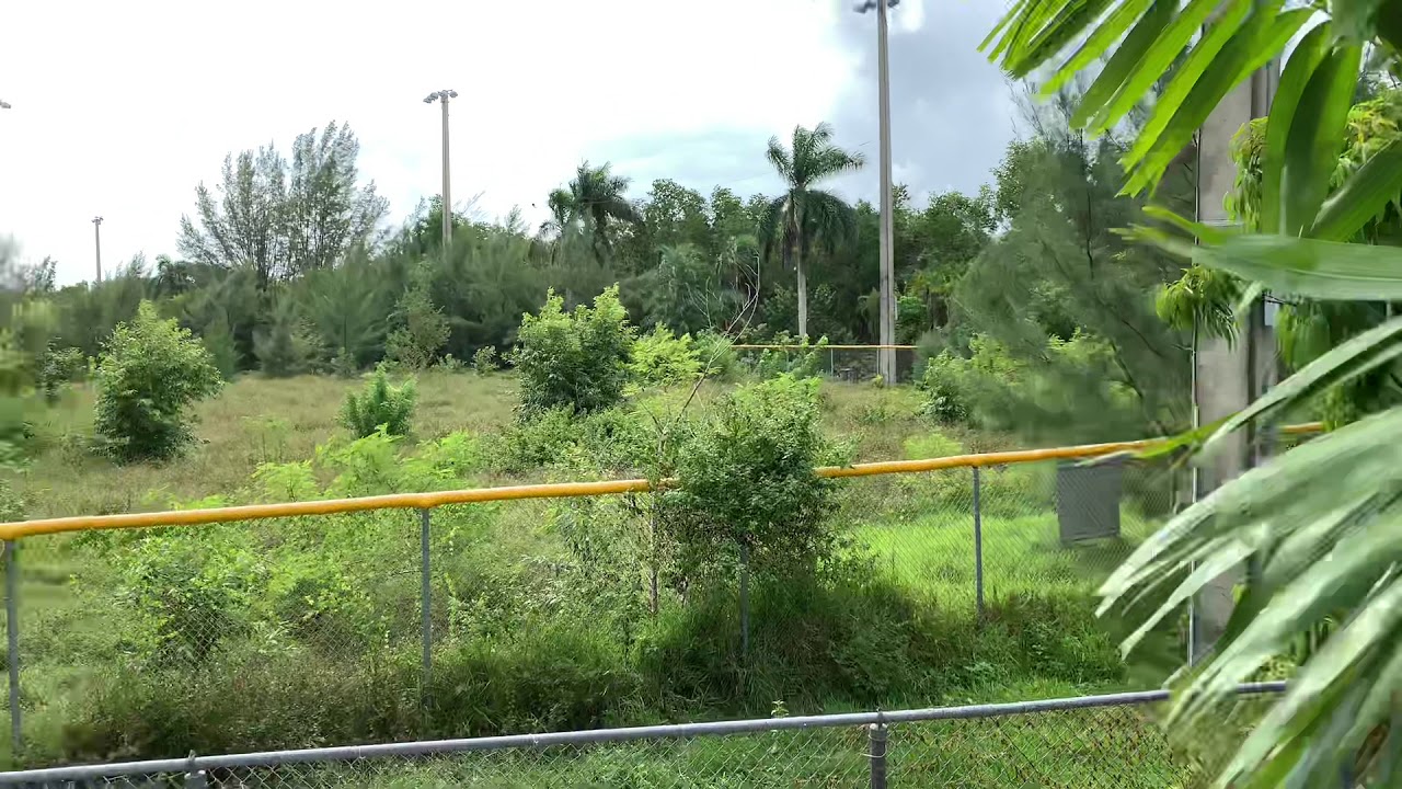 Chapman Field Park - Overgrown 10-8-2018 - YouTube