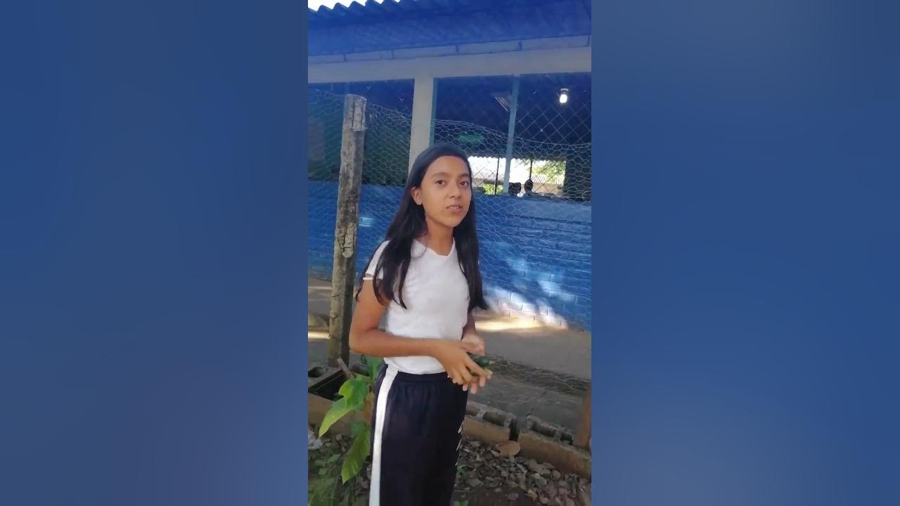 Huerto Escolar del aCentro EdSanta - YouTube