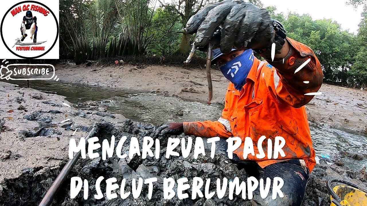 Vlog 9 - Mencari Ruat Pasir DiSelut Berlumpur #pancing #carirezeki # ...