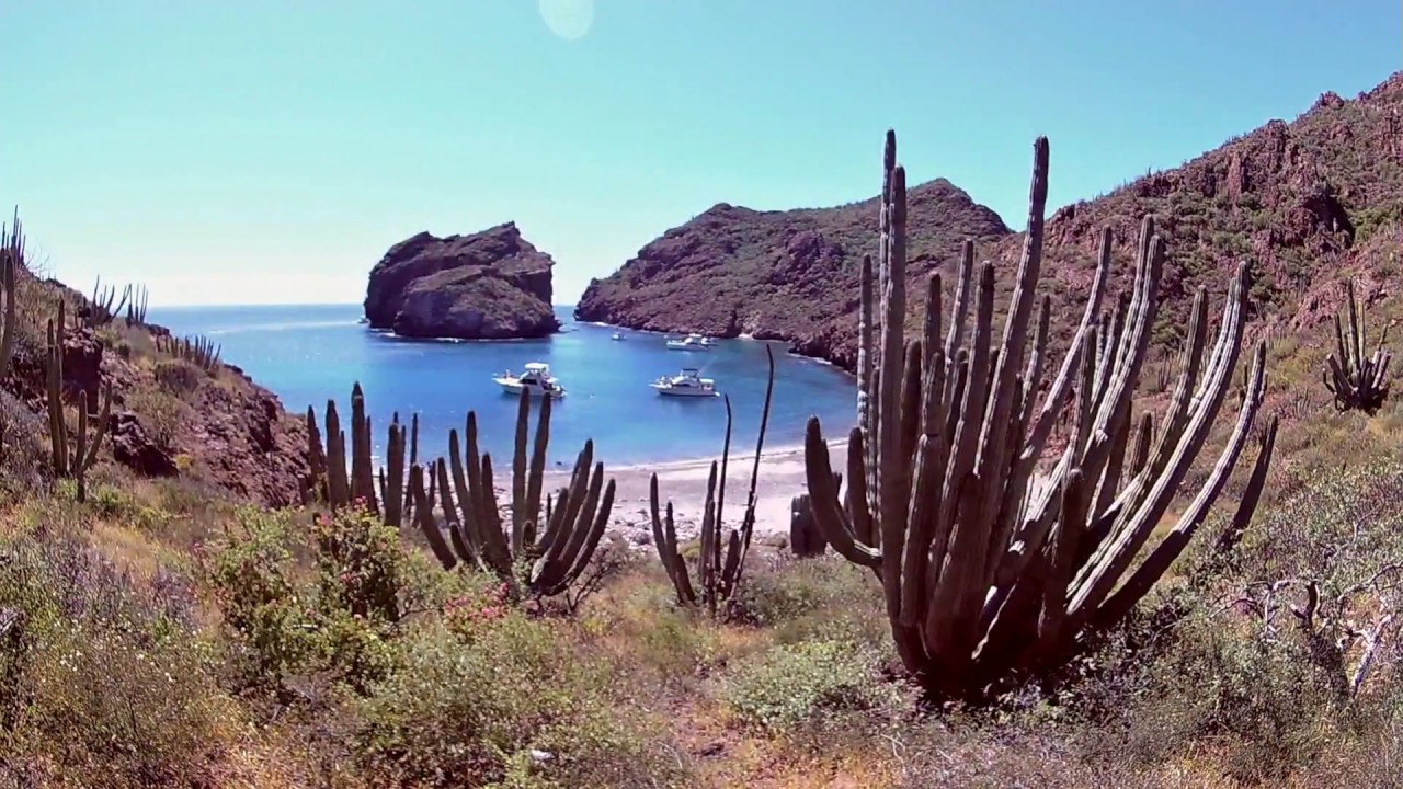 My DOL-Fin Orca2 Diving Trip to San Carlos - YouTube