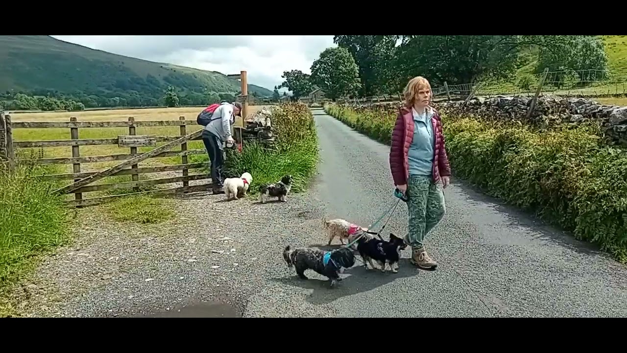 Upper Wharfedale Buckden Yorkshire Dales 8 Miles Circular Walk - YouTube