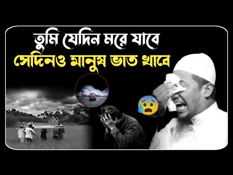 তুমি যেদিন মরে যাবে সেদিনও মানুষ ভাত খাবে 🥺💔 মাওলানা আনিসুর রহমান আশরাফী ওয়াজ 2025 ।। Anisur Rahman