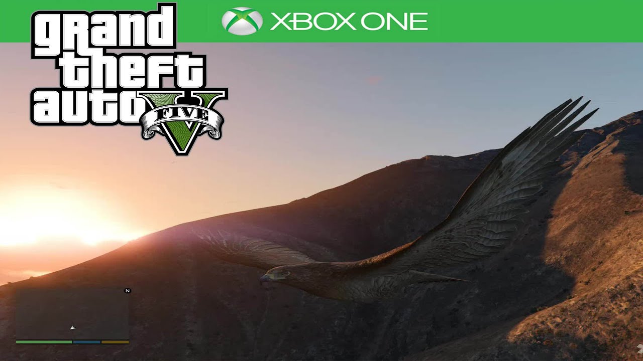 Grand Theft Auto V GTA 5 - Play as Bird Gameplay - Easter Egg [ HD ...