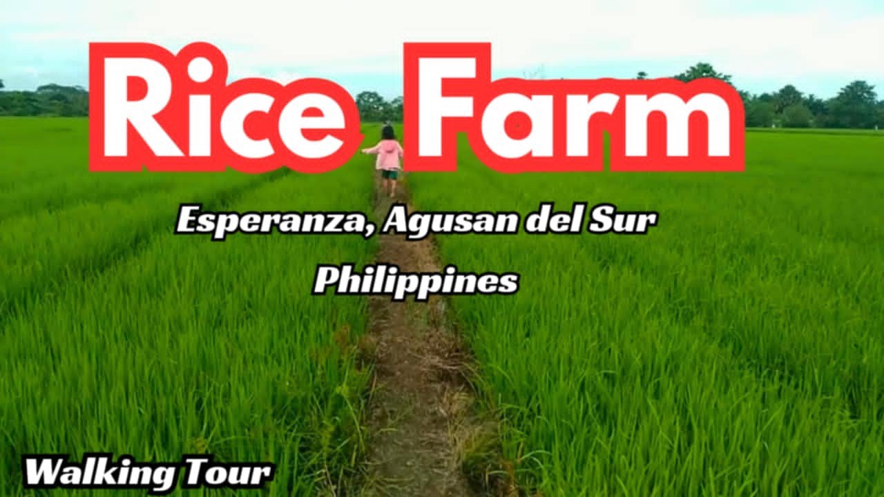 Exploring the Beauty of Mahabo - YouTube