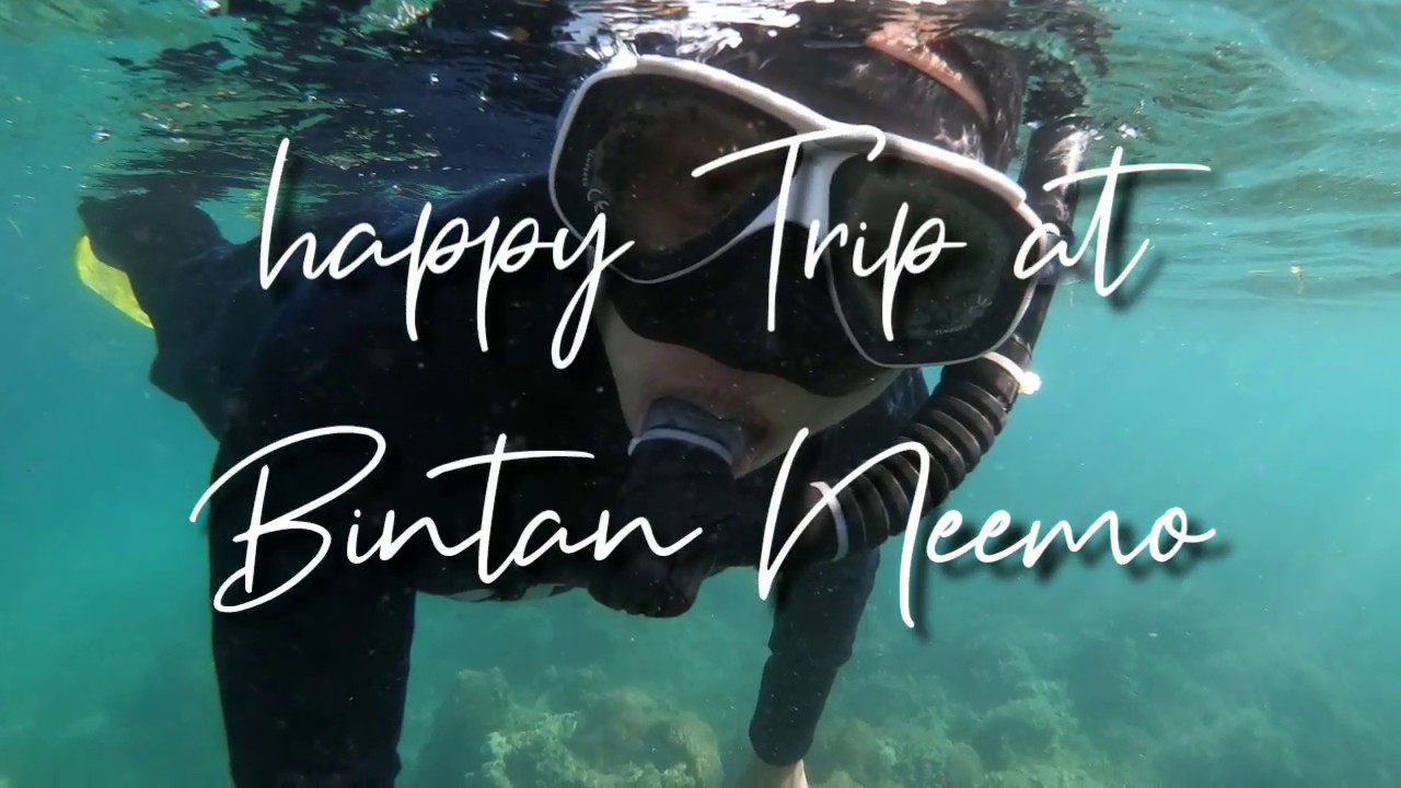 Happy Trip to Bintan Neemo - YouTube