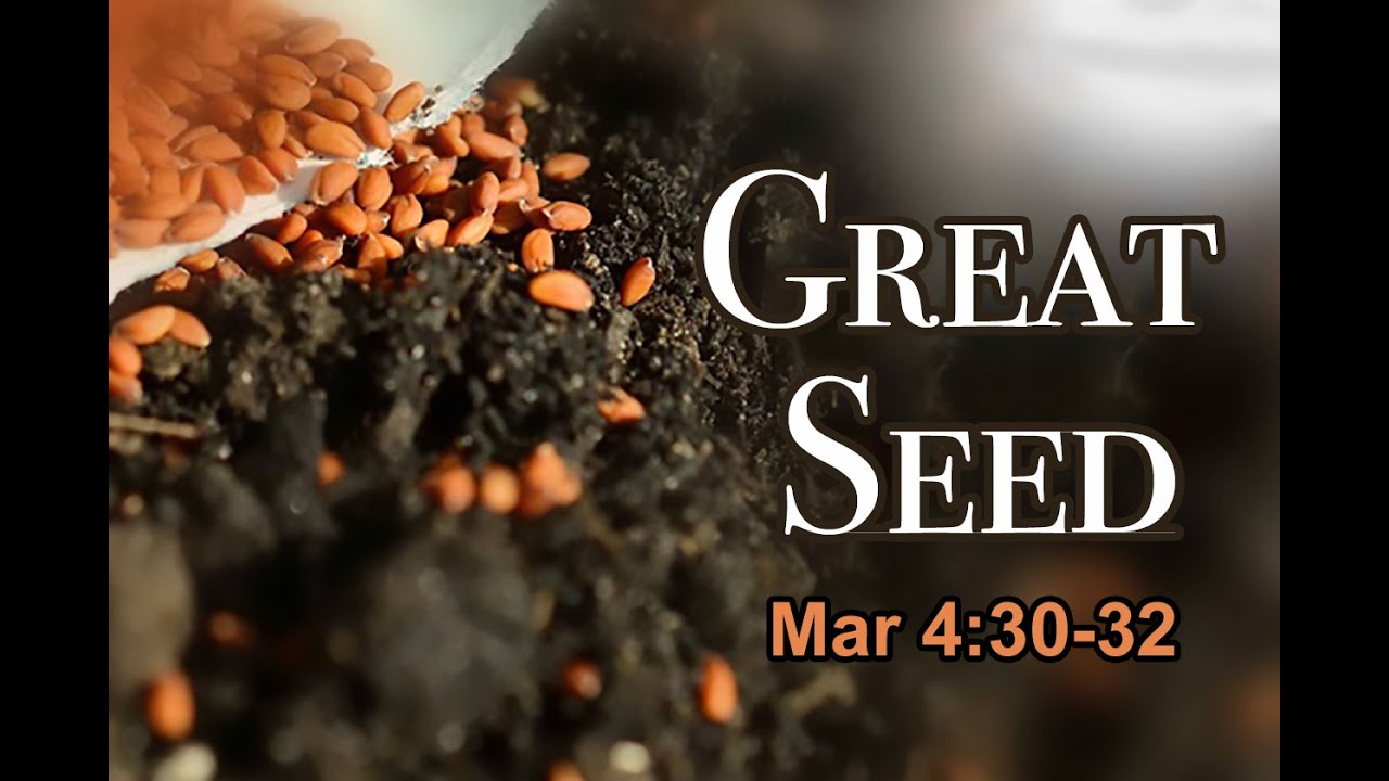 Great Seed | Sunday AM | 10.9.22 - YouTube