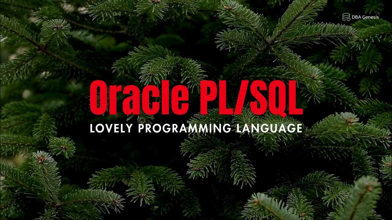 Oracle PL/SQL Online Training - Starting Aug 12, 2024 - YouTube
