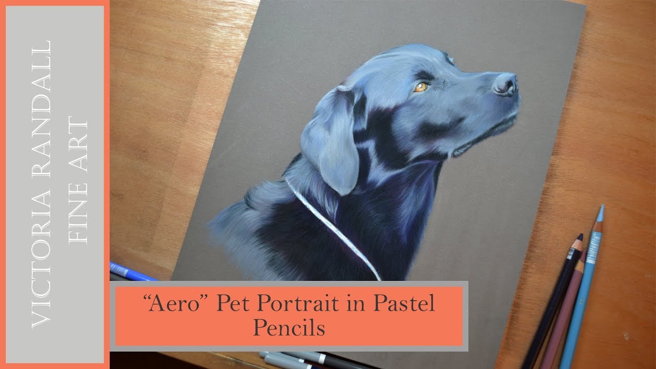 Dog Portrait in Pastel Pencils | Black Labrador - YouTube