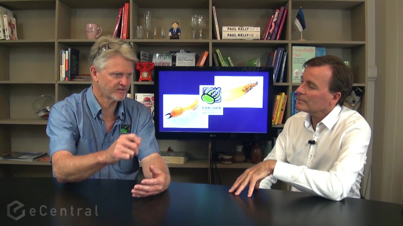 Alan Ferguson from Conquer Termites talks about digital marketing with ...