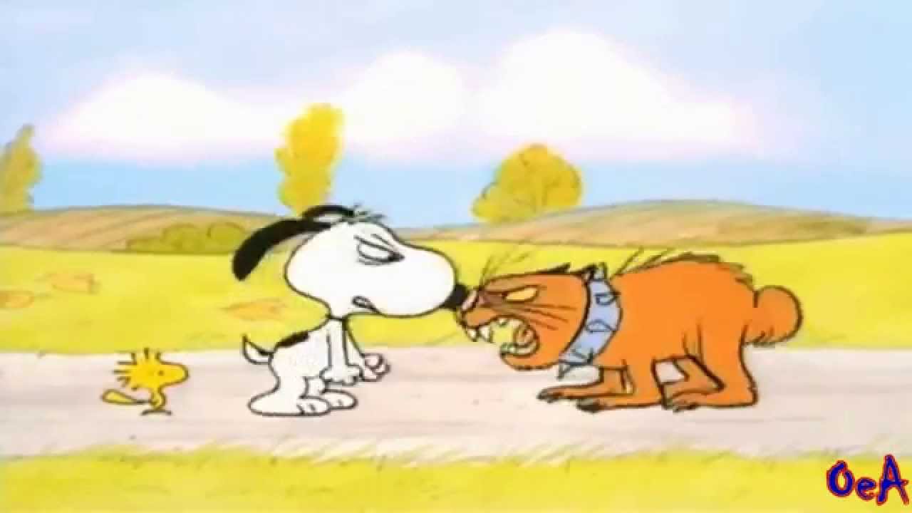 Snoopy Luta com o Gato, Para Defender Woodstock! - YouTube