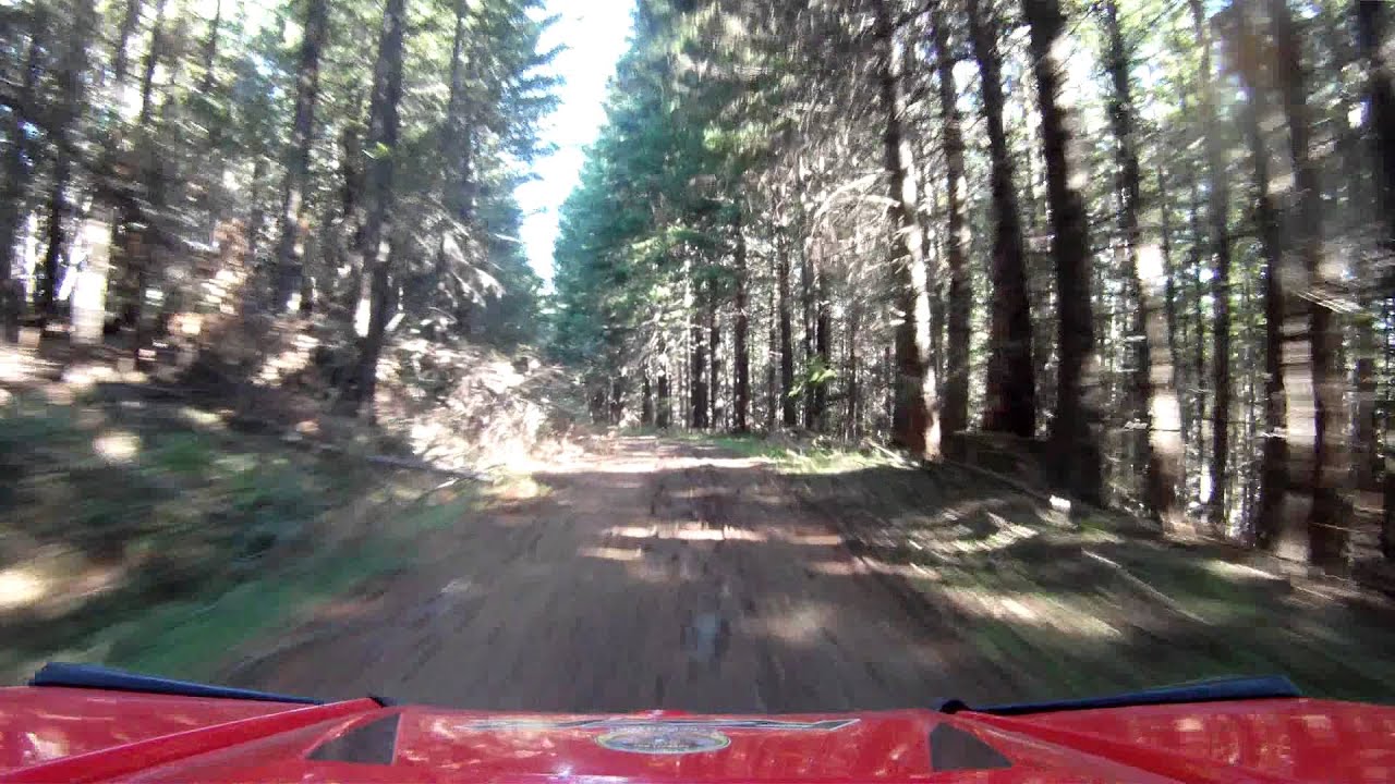 UTVinc Trans am Trail 4800 Miles 131 - YouTube