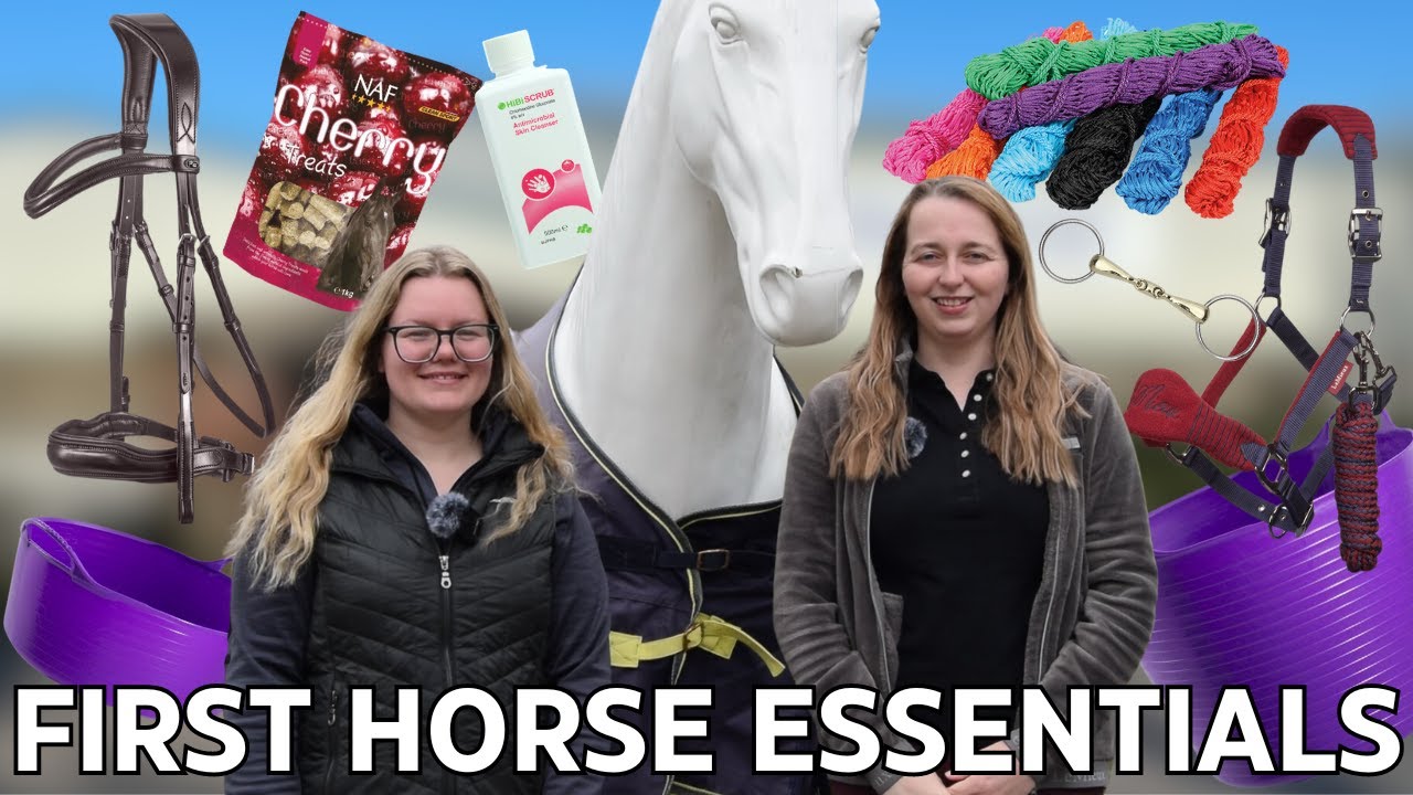 FIRST HORSE ESSENTIALS! What to buy for your first horse! - YouTube