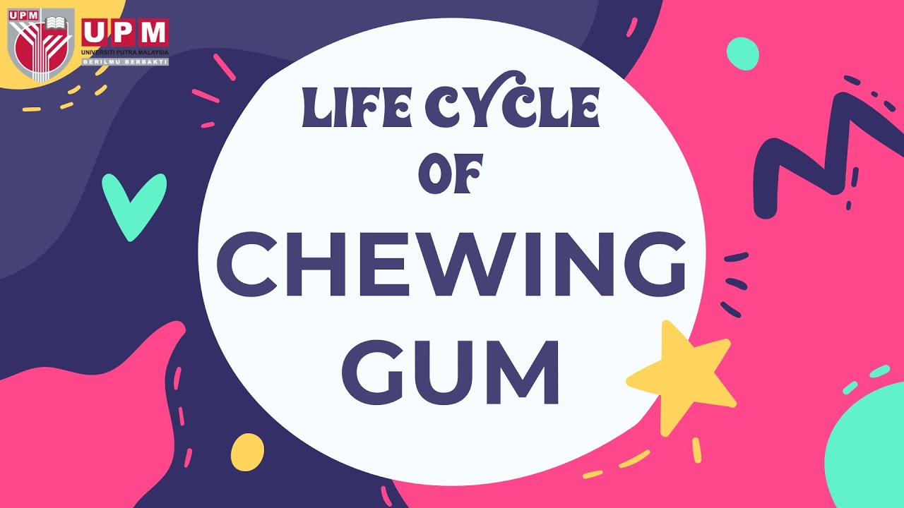 Life cycle assessment (LCA) of chewing gum - YouTube
