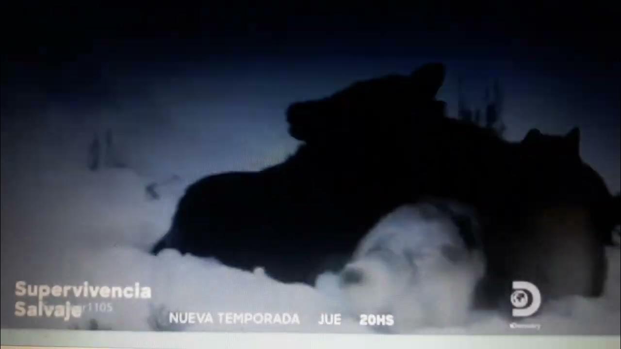 Discovery Channel - Promo: Supervivencia Salvaje (2021) - YouTube