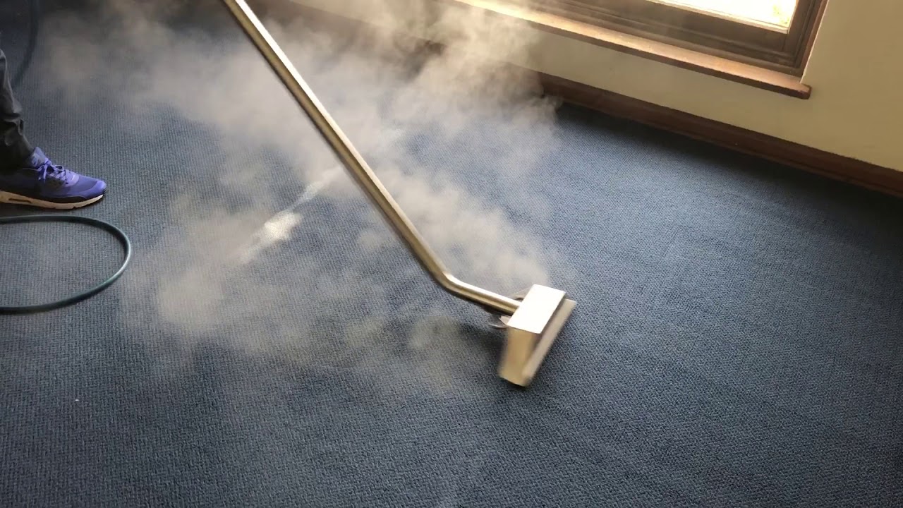 Sydney Wide Carpet Cleaning Service - YouTube
