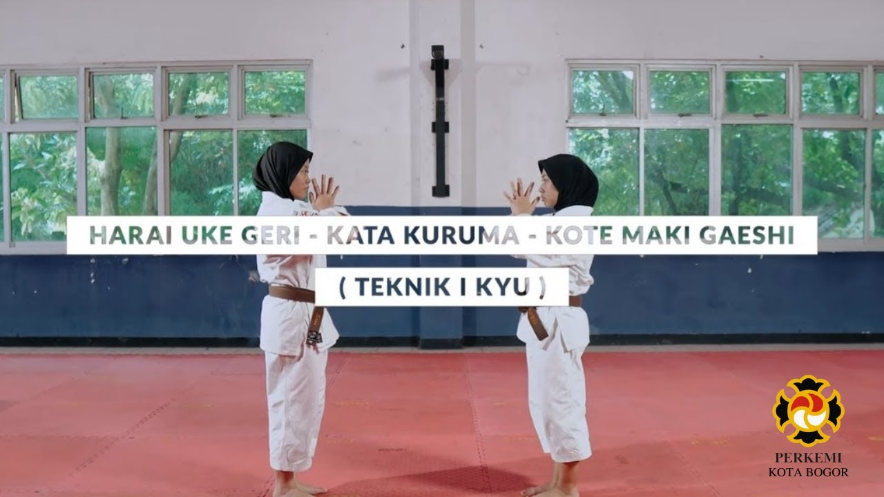 (Teknik Shorinji Kempo 1 KYU) Harai Uke Geri - Kote Maki Gaeshi - YouTube