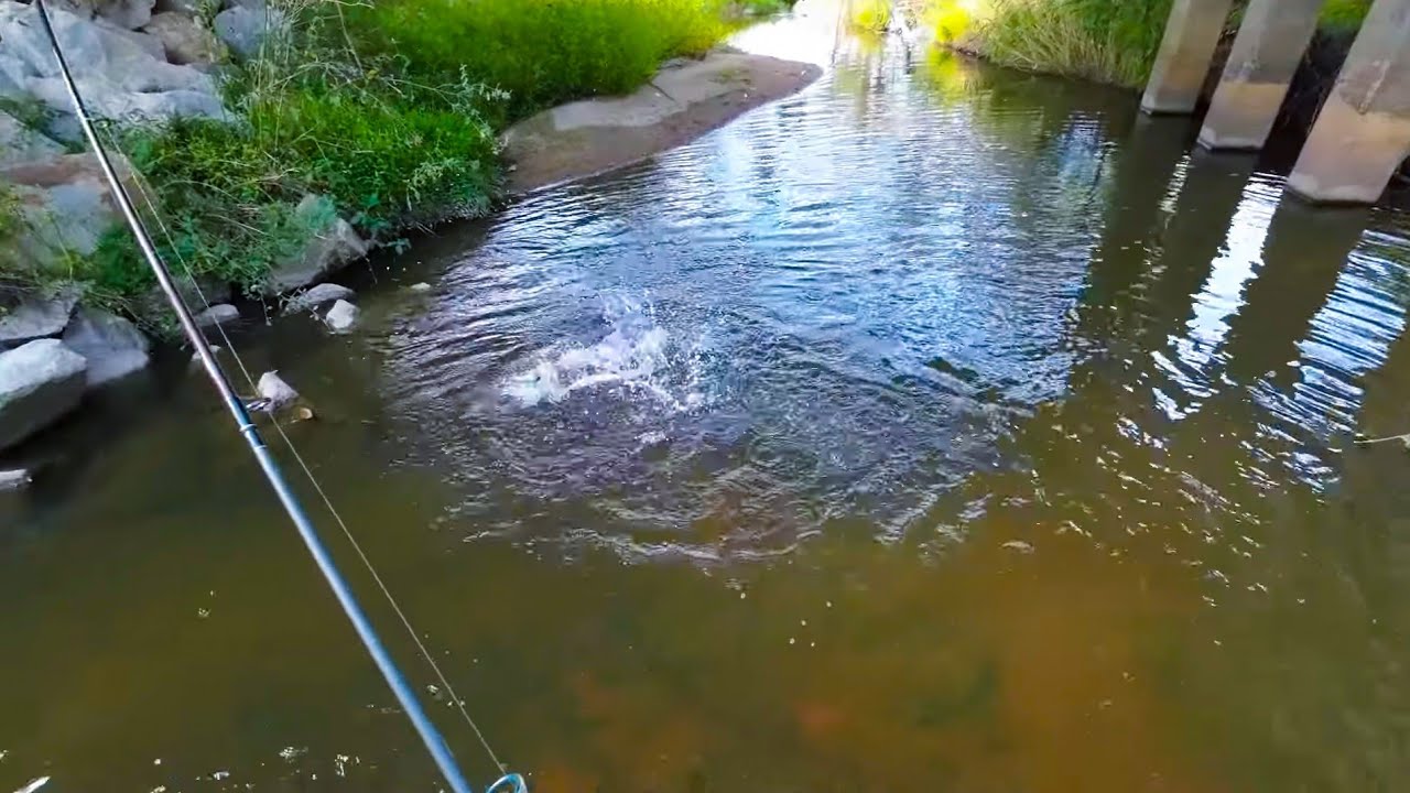 How I find my good fishing spots. Fishing tips - YouTube