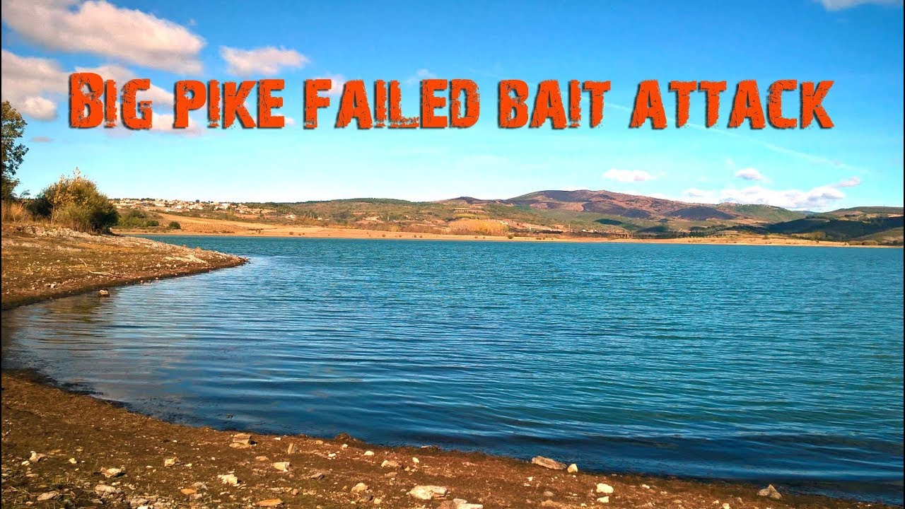 Big pike failed bait attack - YouTube
