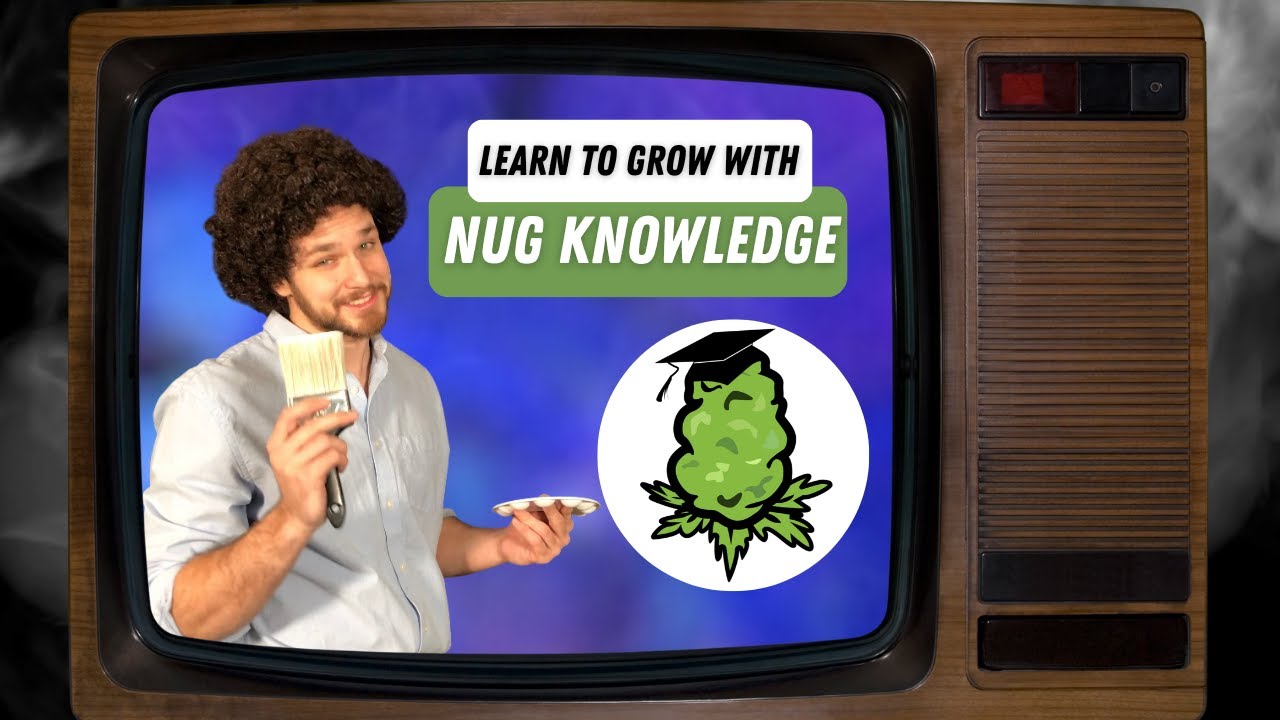 Nug Knowledge: The Joys of Growing - YouTube