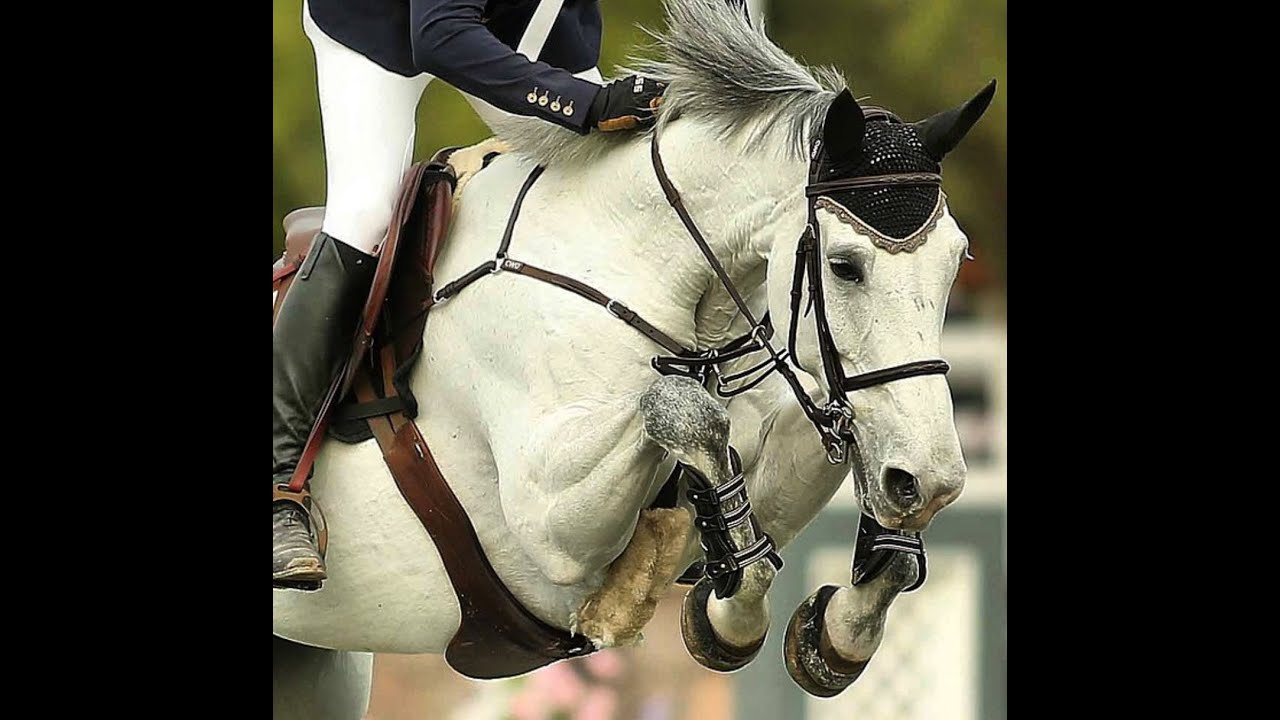 Carushka & Ricardo Nizri 2015 WEF 7 2nd Place - YouTube