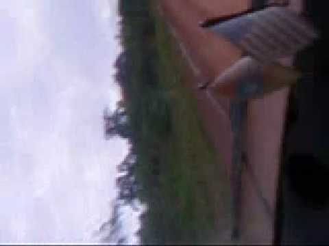 Vida de Caminhoneiro (De rolé na Amazônia)