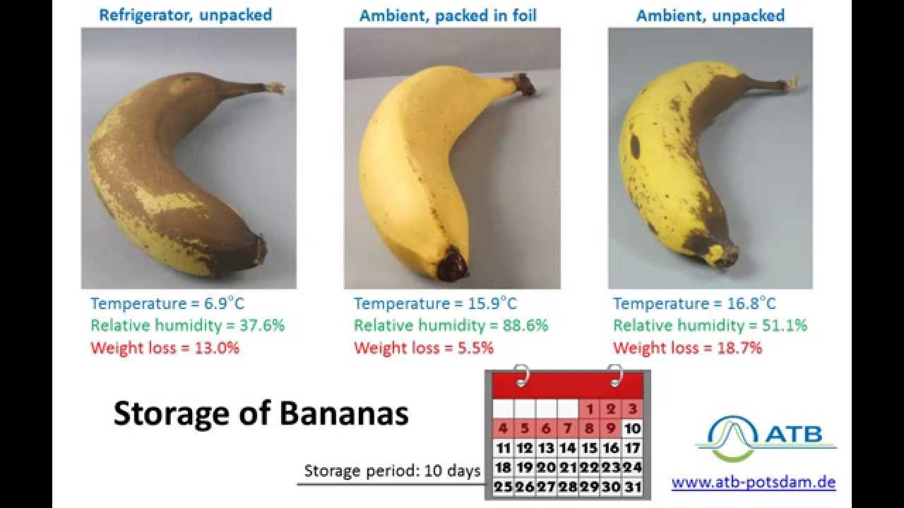 Storage of Banana - YouTube