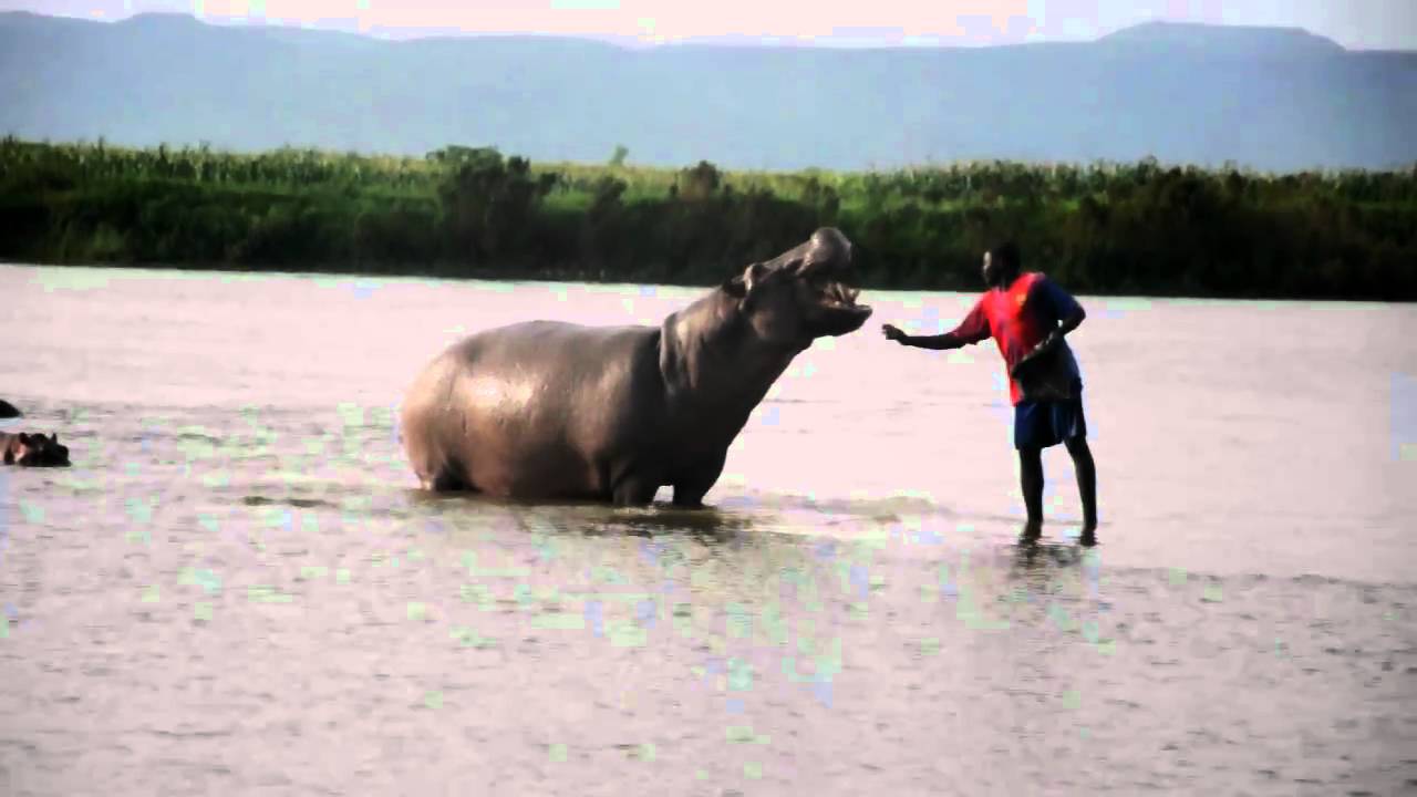 The World Famous Hippo Man, Garoua, Cameroon - Part 3 - YouTube