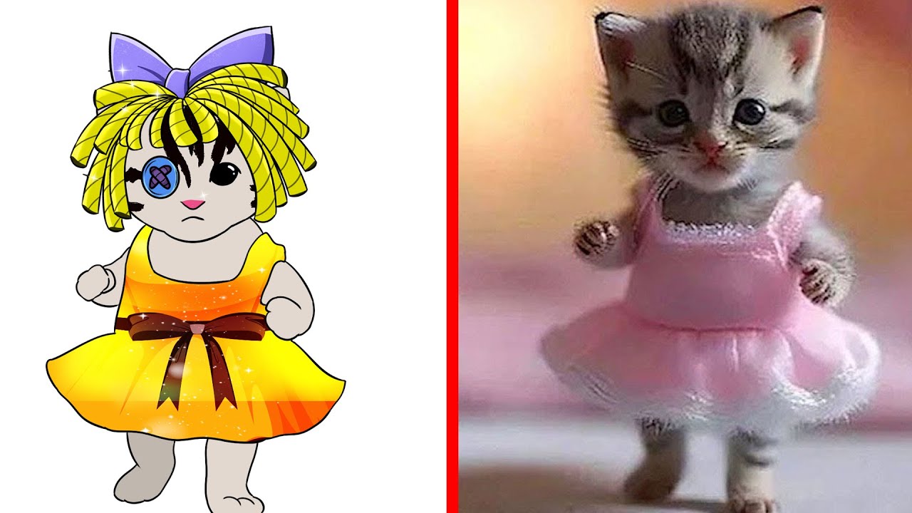 The Amazing Digital Circus Cat and Dog Version | Cat Memes - YouTube