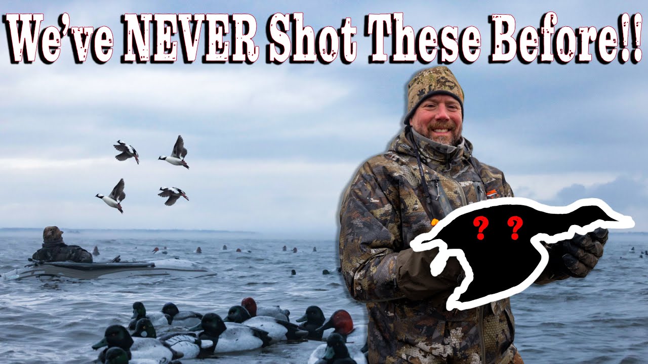 Big Water Duck Hunting | We've NEVER Shot THESE BEFORE! - YouTube