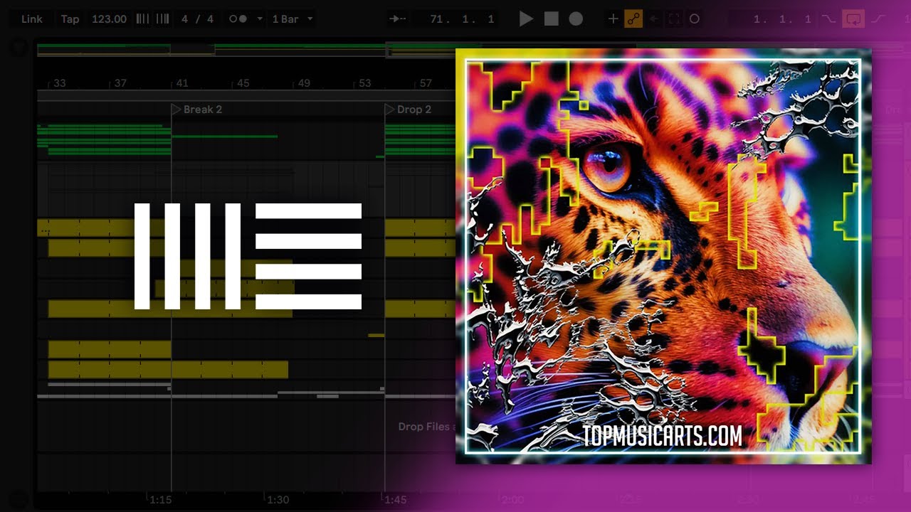 Vintage Culture, Maverick Sabre, Tom Breu - Weak (Ableton Remake) - YouTube