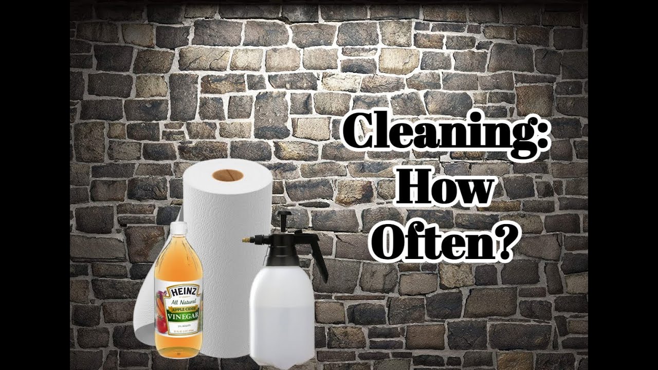 How Often Do I Clean My Snake Enclosures? - YouTube