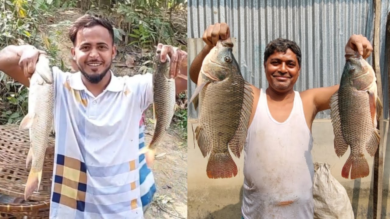 Amazing Rui Fish/ Wonderful Fish. আমাদের পুকুরের মাছ। - YouTube