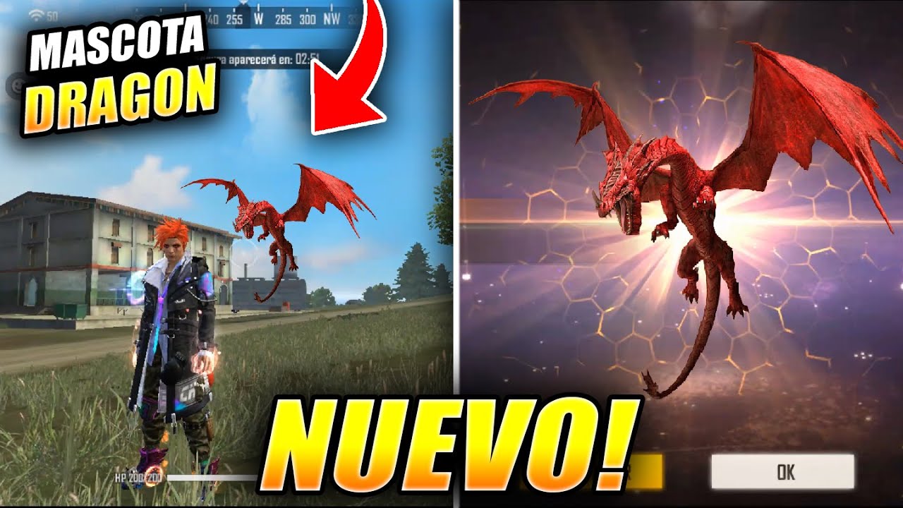 OFICIAL! NUEVA MASCOTA DRAGON en FREE FIRE! HABILIDAD ÉPICA, NUEVA ...