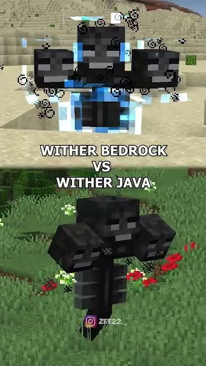 Wither Bedrock Vs Wither Java - YouTube