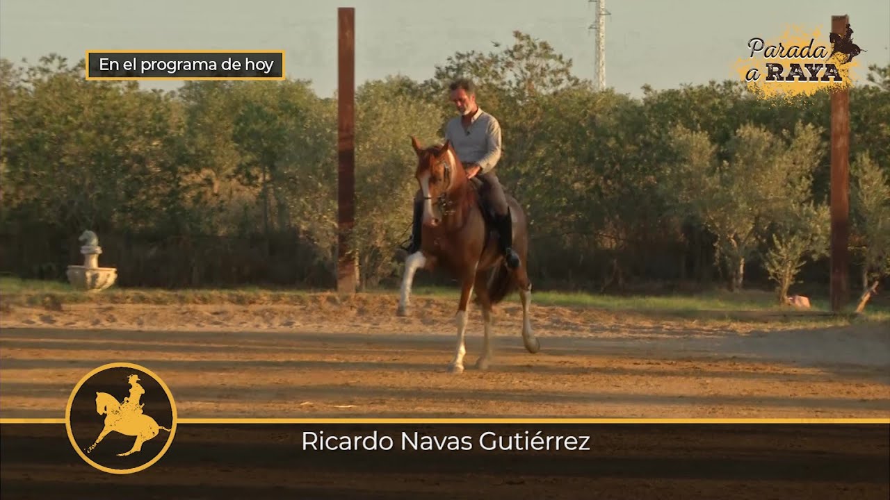Parada a Raya 212 - YouTube
