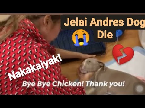 Jelai Andres Dog Died(Ang sakit!) - YouTube