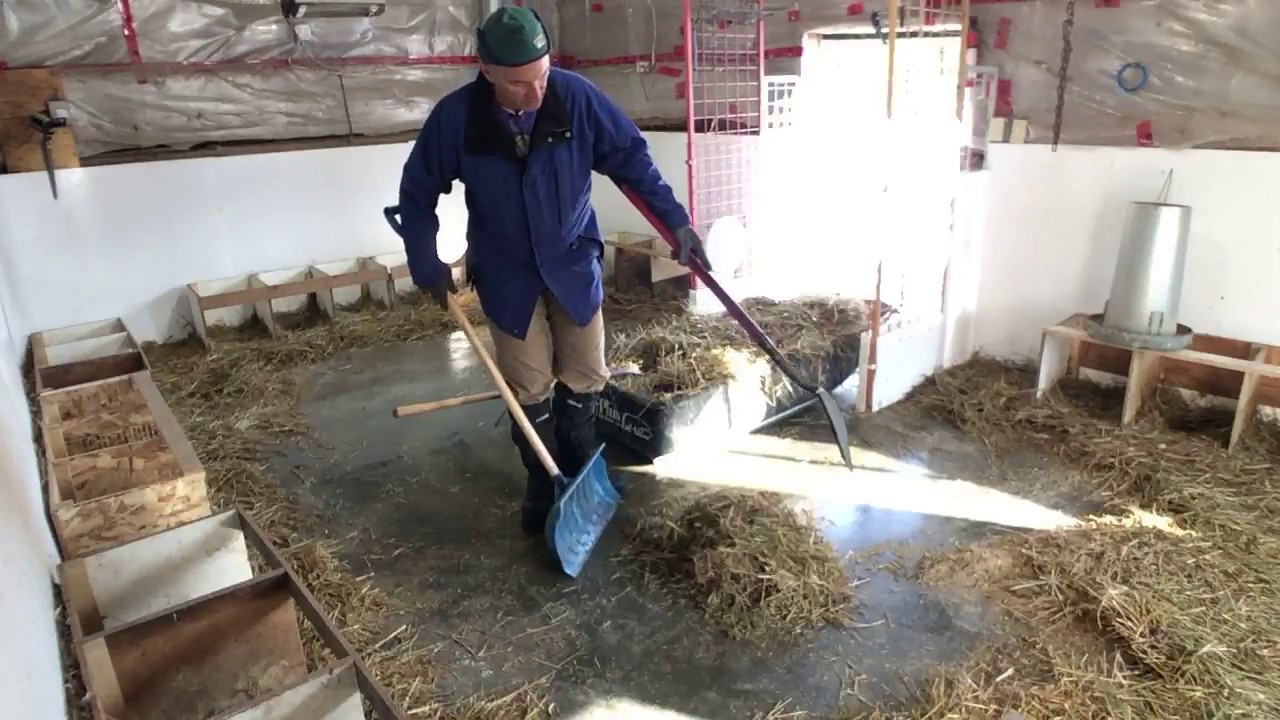 Cleaning the barn Jan 28, 2018 - YouTube