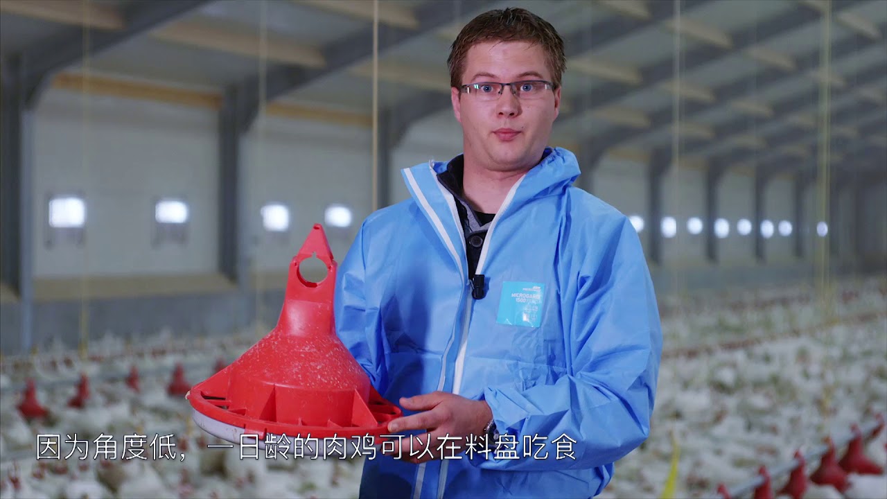 [CN] Broiler Floor Housing - YouTube