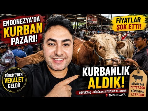 Türkiye’den Vekalet Geldi!-Endonezya’da Kurbanlık Aldık!-Endonezya'da Kurban Fiyatları! #endonezya 